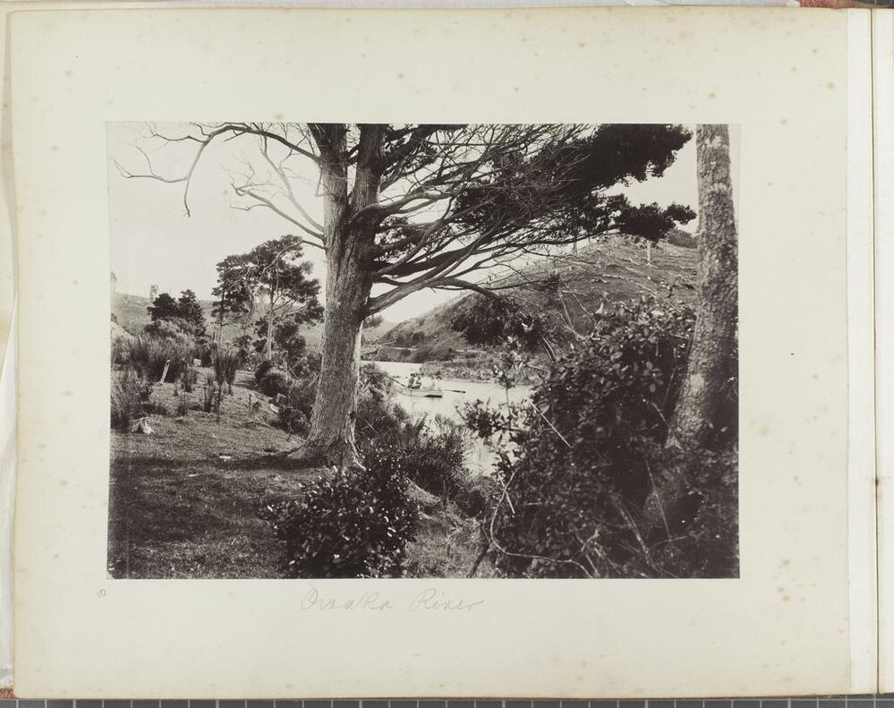 Owaka River | Kōtuia ngā Kete