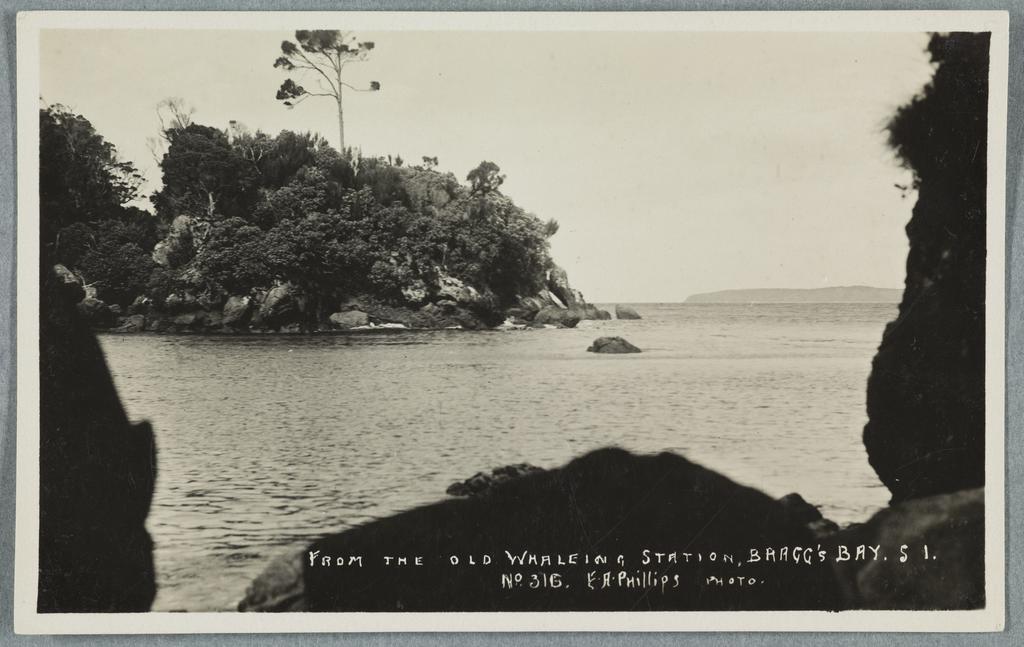 From the old whaling station, Bragg's Bay, Stewart Island | Hocken ...