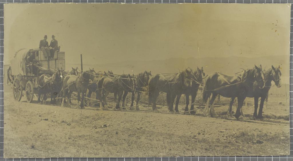 Ida Valley Station | Hocken Digital Collections