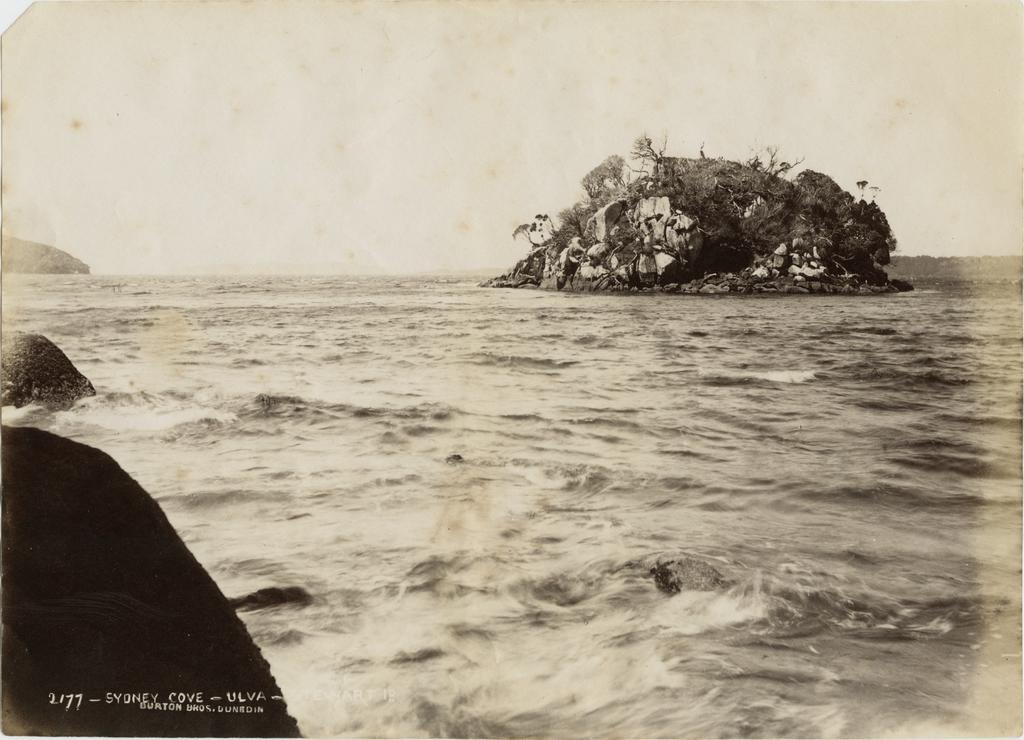 Sydney Cove, Ulva, Stewart Island | Hocken Digital Collections